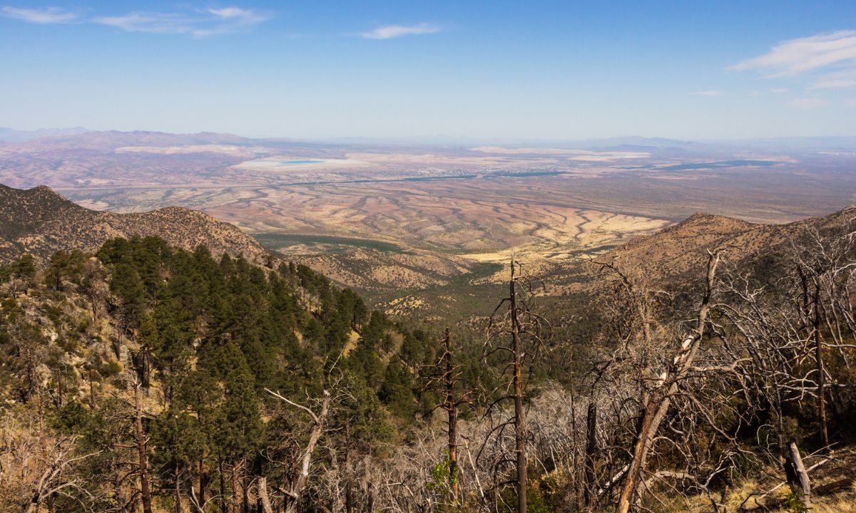 Primeira área árida no Brasil é encontrada na Bahia; entenda