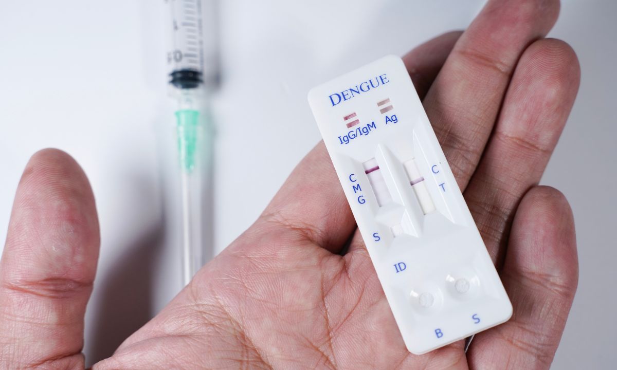 Preços e quando fazer: saiba tudo sobre testes para detectar dengue